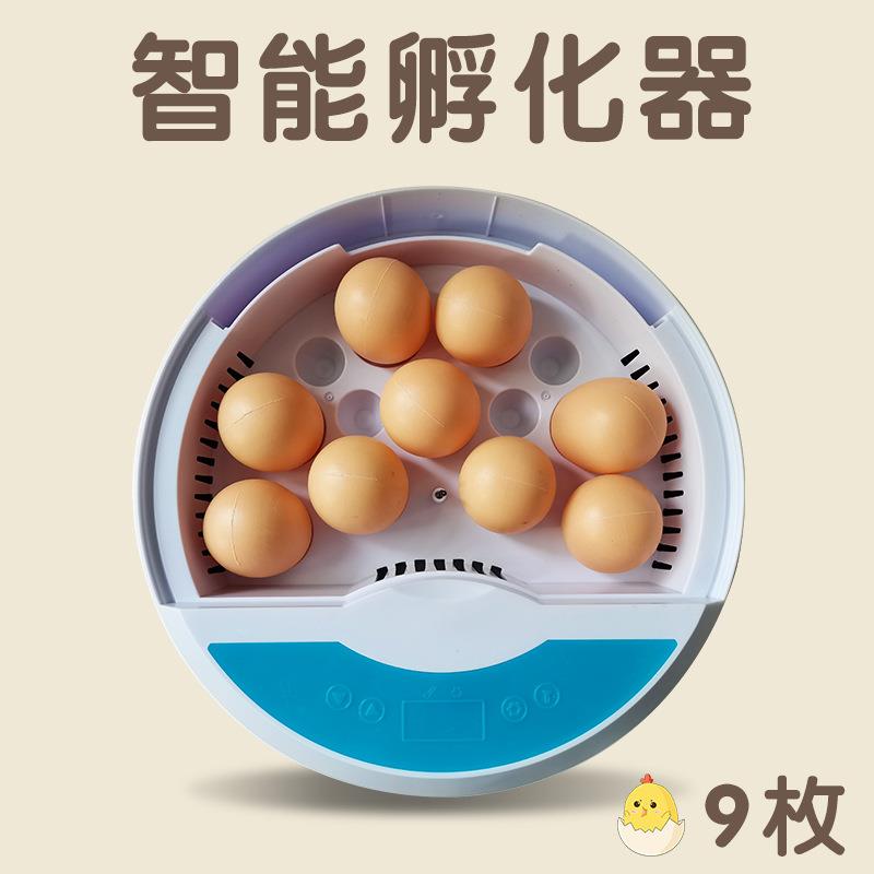 孵化机HHD小鸡鹌鹑孵化设备9枚鸡蛋孵化器小型鸟蛋孵蛋器恒温雏鸡