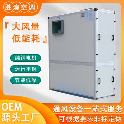 立新RFW风换气机商用调新式风恒系统空机组恒温湿除尘大风量空调