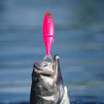 Sinking Glidebait 145mm 32g Hard Bait with Soft Tail