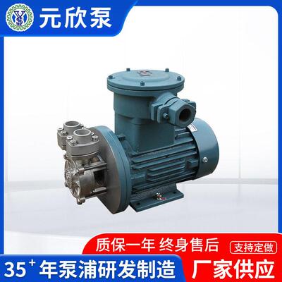 YS-20A-FEX防爆系列热水热油齿轮式旋涡泵多种规格耐温自吸泵