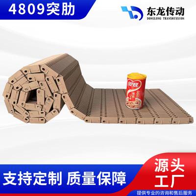 4809凸肋散片节距57.15链板杀菌线塑料网带罐头输送传送带