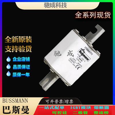 巴斯曼170M4170 170M4171 170M4174 厂家原装厂价直供 特种保险丝