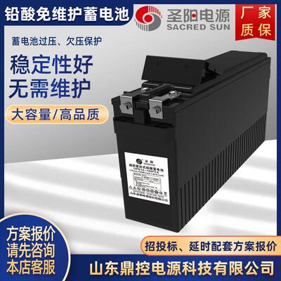 SACREDSUNUPS12-615FTA阀控密封式铅酸蓄电池12V170AH