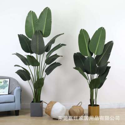 大型北欧仿真植物落旅景人蕉盆室内装饰公假盆栽办室绿地植摆件树