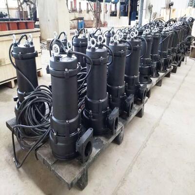 3KW潜水排污泵 WQR20-22-3污水提升泵 CP220-2M 南京凯普德