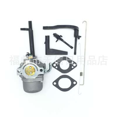 Troy Bilt 204412-0147E1发电机化油器591378 030430 695115
