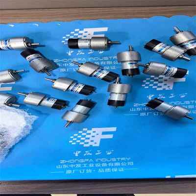 库存现货全系列供应意大利MICROMOTORS直流电机L149.12.90