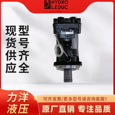 力度克LEDUC环卫吊柱塞泵XPi80 0523640 12 25 32 63 108 130马达