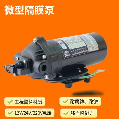 DP-60220V|微型水泵|耐油耐腐材质|高效增压洗车及车油过滤