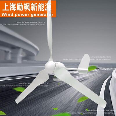 景厂风家直销家水平轴LSM3-400小型力发电机400W风光互补路灯观监