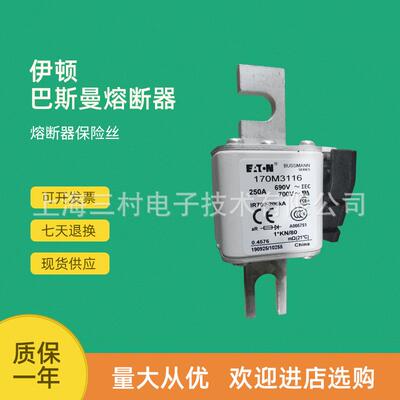 全新原装快速熔断器保险丝170M3116 170M3117 170M3118 170M3119