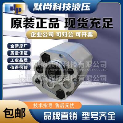 液压泵ASEDA齿轮泵SAP0.5D-0.50 / 0.65/0.80/1.00/1.30/1.60油泵