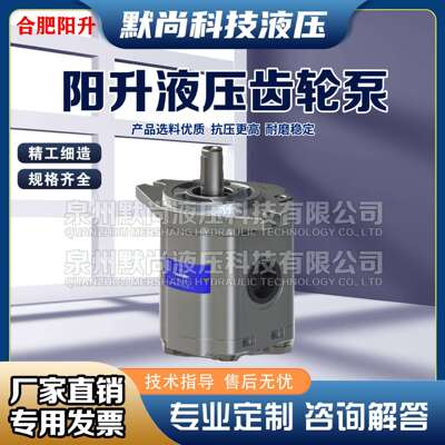 合肥阳升液压齿轮泵 CBTD-F410/420/425/423-ALH4L 农机齿轮泵