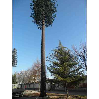 河北景县广川铁塔长期供应各种型号仿生树通信塔，可定制