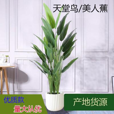 北欧天堂鸟仿真美人蕉植物假盆栽旅人蕉落地盆景室内装饰绿植摆件