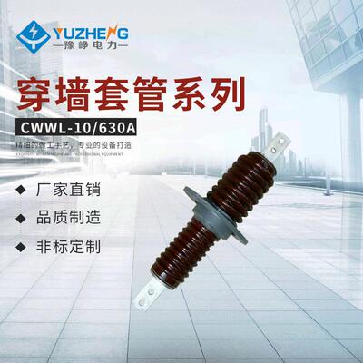 陶瓷CB.CWB.CWW-10/630A铜导体高压10KV穿墙套管耐腐蚀耐高温