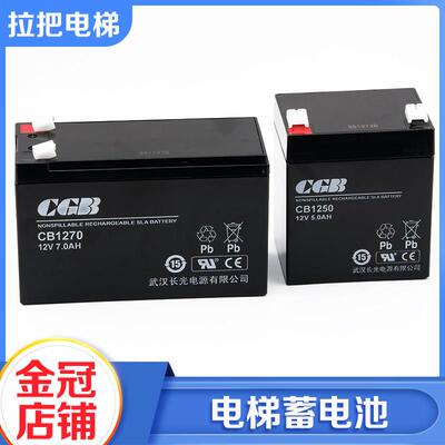 杭州西奥电梯救援装置松闸电源CGB武汉长光蓄电池CB1250/1270配件
