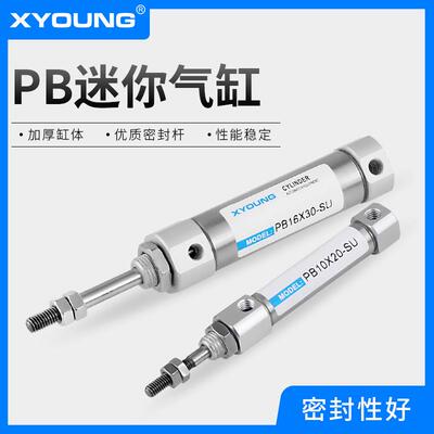 XYOUNG气动PB10X50-SU不锈钢迷你气缸PB10X25-SR带磁平尾迷你气缸