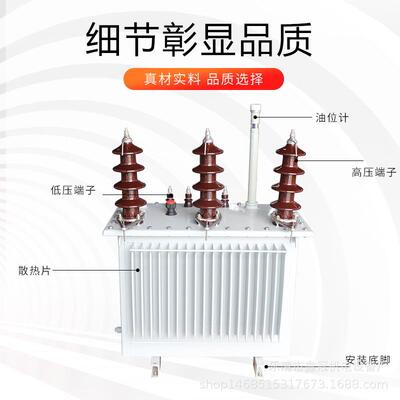 定制定做S13-400KVA10/0.4KV三相油浸式自冷电力变压器全铜绕组