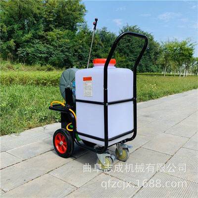 手推消毒喷雾器双泵充BXX双开关防杀虫打机电疫式车喷机