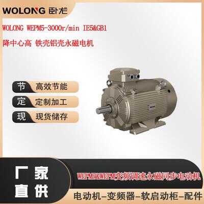WOLONG WEPM5-3000r/min IE5&GB1 降中心高 铁壳铝壳永磁电机