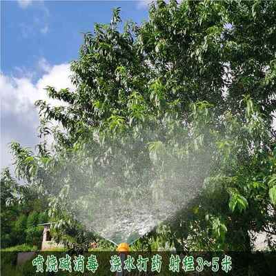 花园浇水花器22020农用拉洒水喷器抽喷枪拉杆式喷水器浇喷雾器手