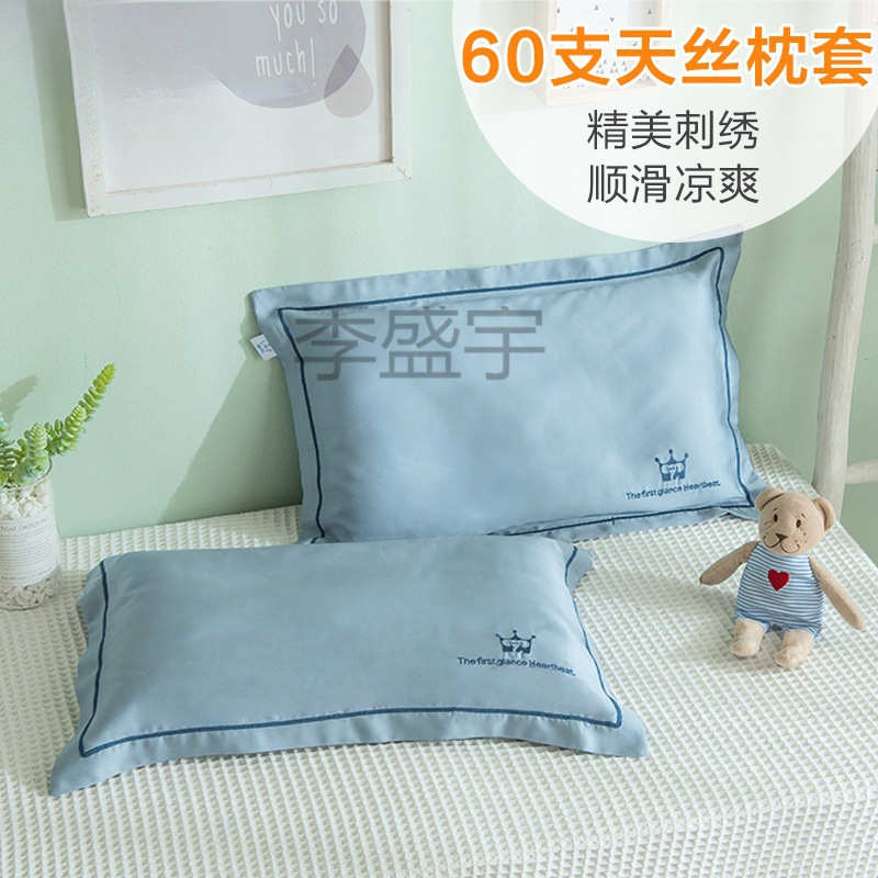 GSNU0860支天丝儿童枕套夏天枕头套30x50小号40x60 冰丝枕套35x55