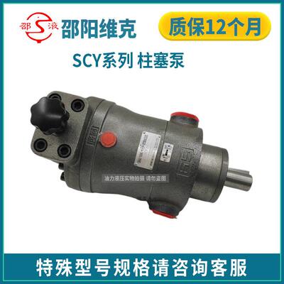 邵阳维克液压泵SY-10/25/32/40/63/80125SCY14-1E/B轴向柱塞泵