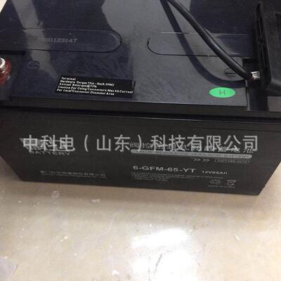 贵州科华蓄电池精卫系列6-GFM-65-YT12V65AH铅酸免维护储能蓄电池