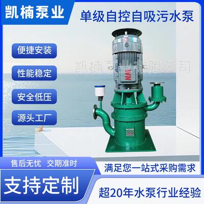 厂家供应不锈钢卧式级自控自吸污水泵WFB自吸式无堵塞排污泵