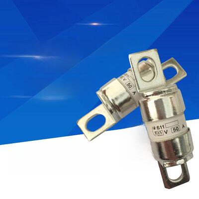 RGS11 250/500V 螺栓快速熔断器 32A40A50A63A80A100A陶瓷保险丝