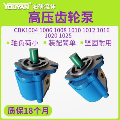 A1FL高压B1FR齿轮泵CBK1004/1006/1008/1010/1012/1016/1020/1025