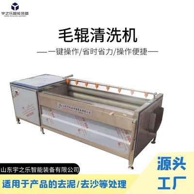 根茎蔬菜去皮辊清洗机生姜洋葱去皮清洗设备全自动毛辊清洗机
