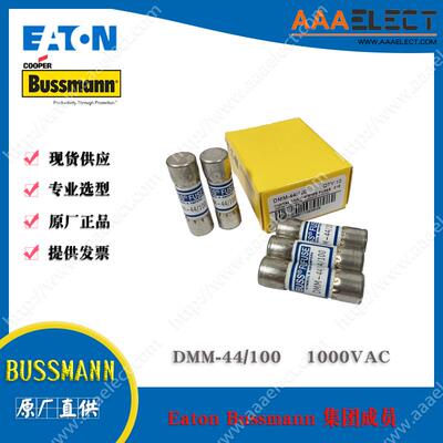 万用表F15BF17B保险丝DMM-B-44/100R DMM-44/100-R 10X35MM 440m