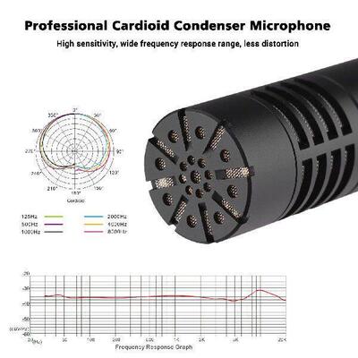 TAKSTAR Professional Diaphragm Condenser Microphone