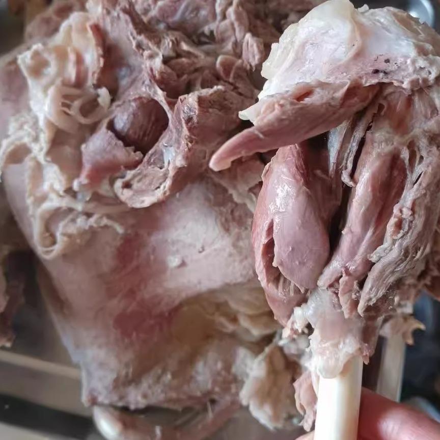 山东枣庄西集羊肉汤 熟羊肉羊杂汤 全熟羊肉 滕州山亭羊肉汤 真空