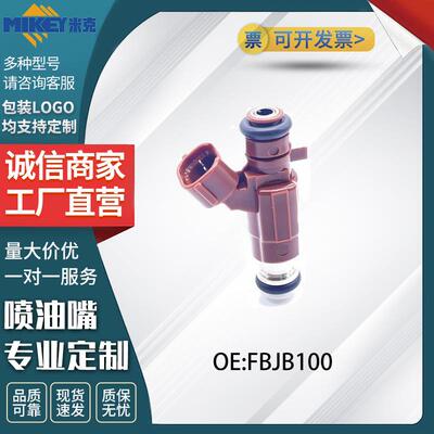 尼桑天籁2.3L/阳光N16喷油嘴FBJB100/16600-5L300