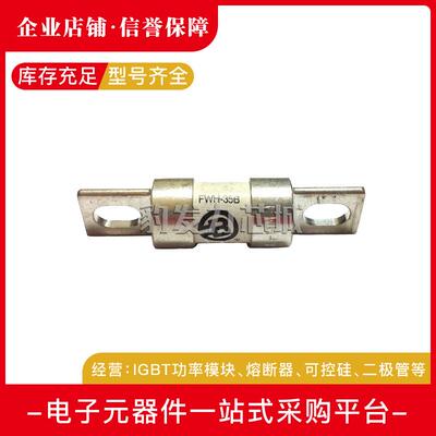 FWH-35B/40B/45B/50B/60B/70B/80B/90B/100B/120B 快速熔断器现货