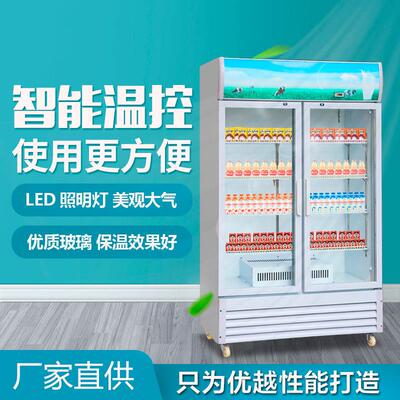 热柜商用RRF饮料奶茶加热柜立式保奶热饮柜学奶加热保生温展温示