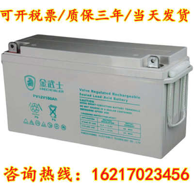 金武士UPS蓄电池PV12V100AH/65AH PW24-12/38-12 PH17-12V150AH