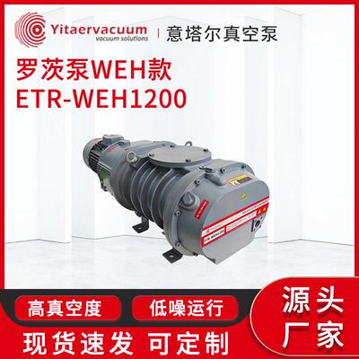 意塔尔罗茨真空泵WEH款ETR-WEH1200真空干燥冷冻干燥用抽真空机