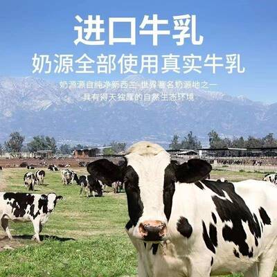 阿萨姆奶茶5瓶*500ml原味即饮奶茶饮品TJB
