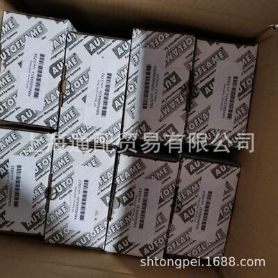 英国AUTOFLAME奥特弗蓝姆电眼火焰探测器MM60004/U附件
