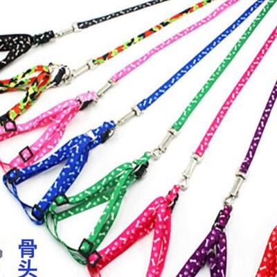 Dog leash for Teddy, Golden Retriever, and other pets. Avail