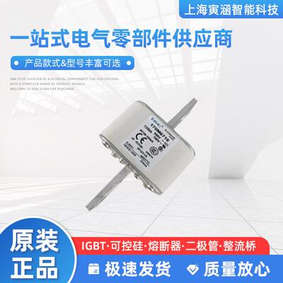直流快速熔断器170M6714 170M6723 170M6734 170M6752 170M6766