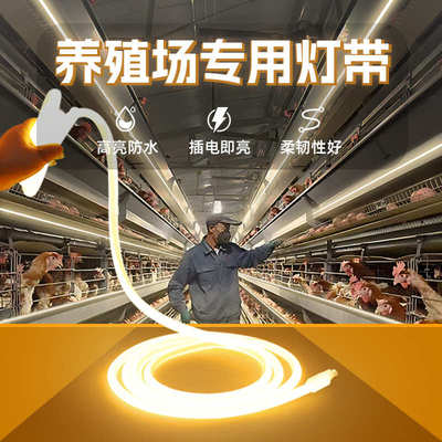 养殖场专用灯带猪场鸡舍工地led户外防水220v超亮照明灯条暖光灯