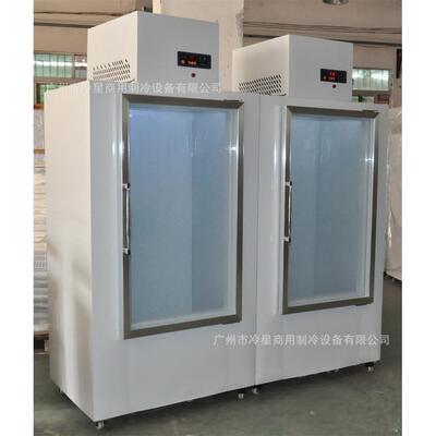 冰块储存冷柜冰棍直冷冷冻柜风冷冰箱110V60HZ方冰保温展示冷冻柜