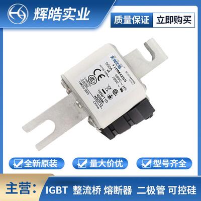 170M1569 170M1570 熔断器 熔断器配件 保险丝 电子元器件