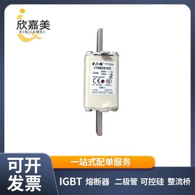 170M3816D 170M3817 快速熔断器 电子元器件 库存充足 量大价优