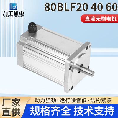 直流无刷电机80BLF20/40/60 机械臂大扭矩高速静音大功率微型马达